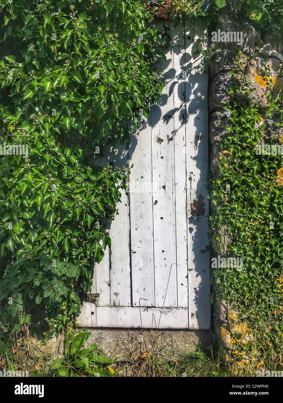 Ivy covered garden gate hi-res stock photography and images - Alamy