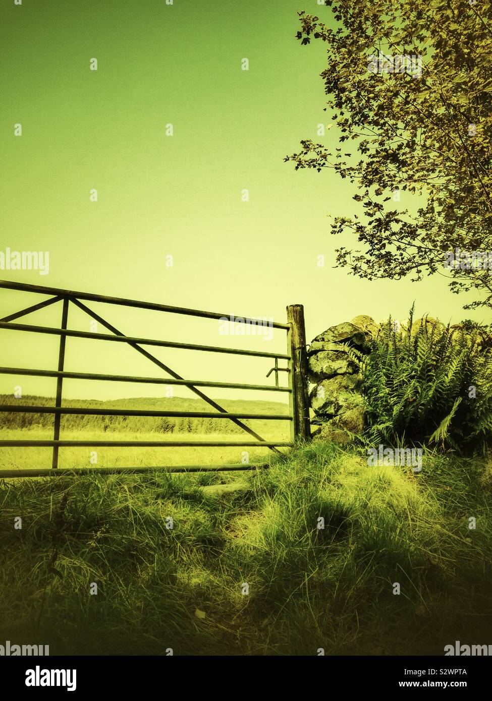 Metal field gates hi-res stock photography and images - Alamy