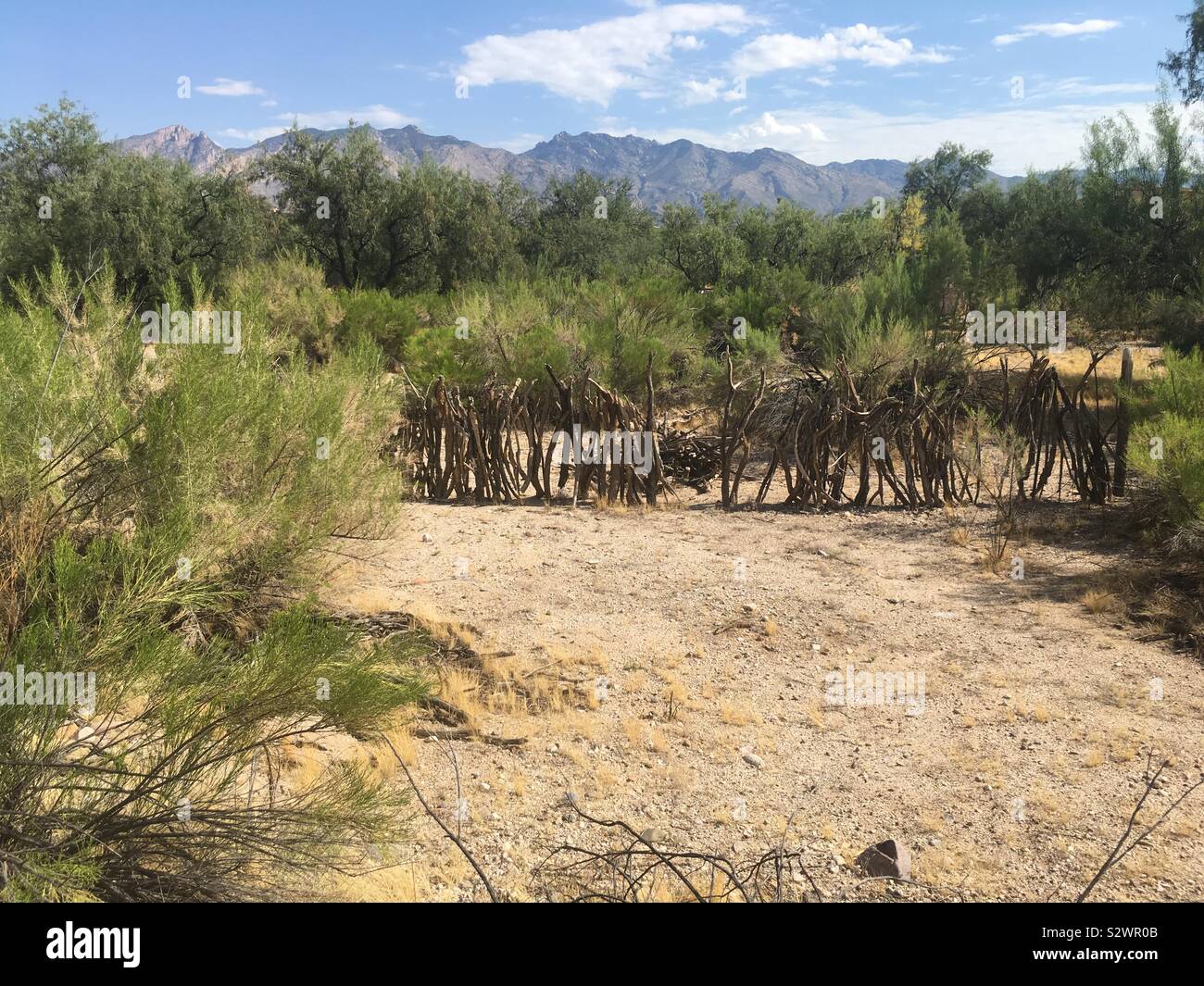 Desert fence dry land hi-res stock photography and images - Alamy