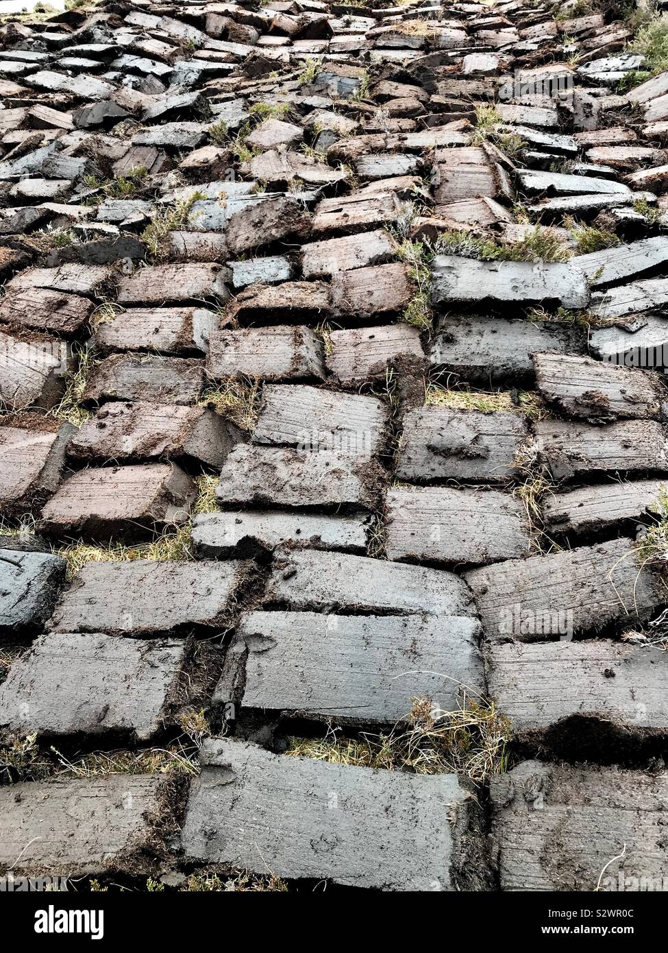 Fresh cut peat resting on the ground on the Isle of Harris, Scotland ...