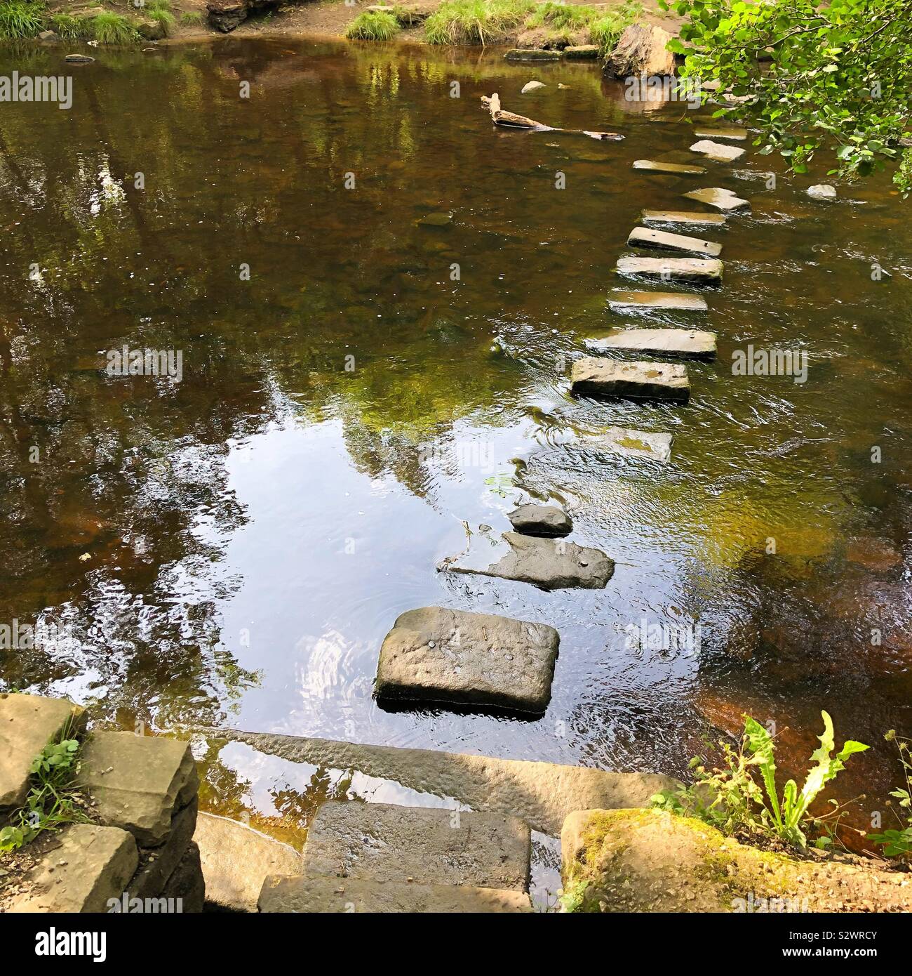 River with stones hi-res stock photography and images - Alamy