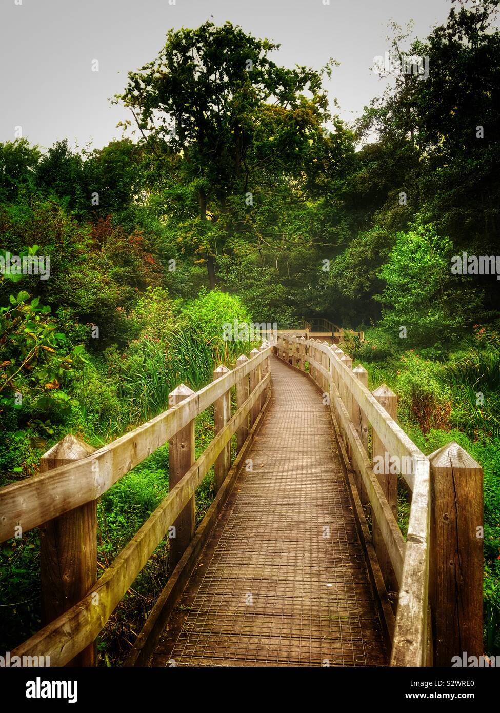 Boardwalk park hi-res stock photography and images - Alamy