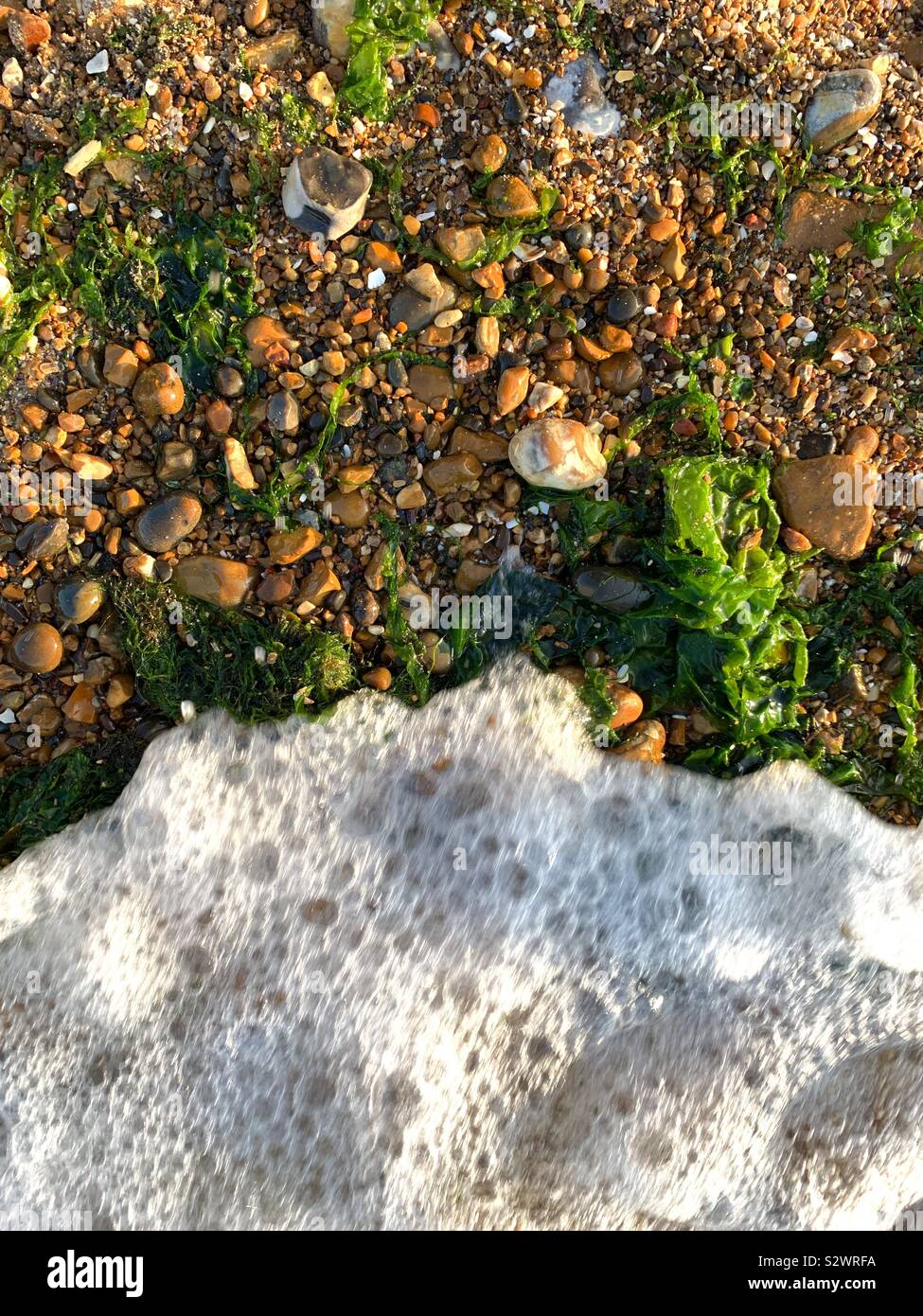 Seaweed, surf and stones and waves lap over a pebble beach at dusk ...