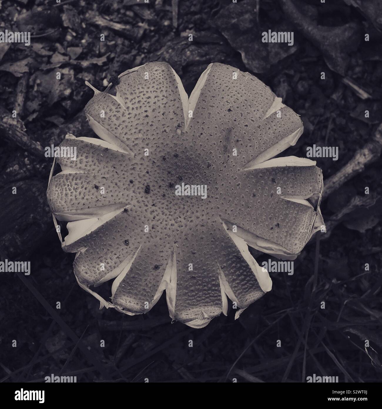 Breaking apart hi-res stock photography and images - Alamy