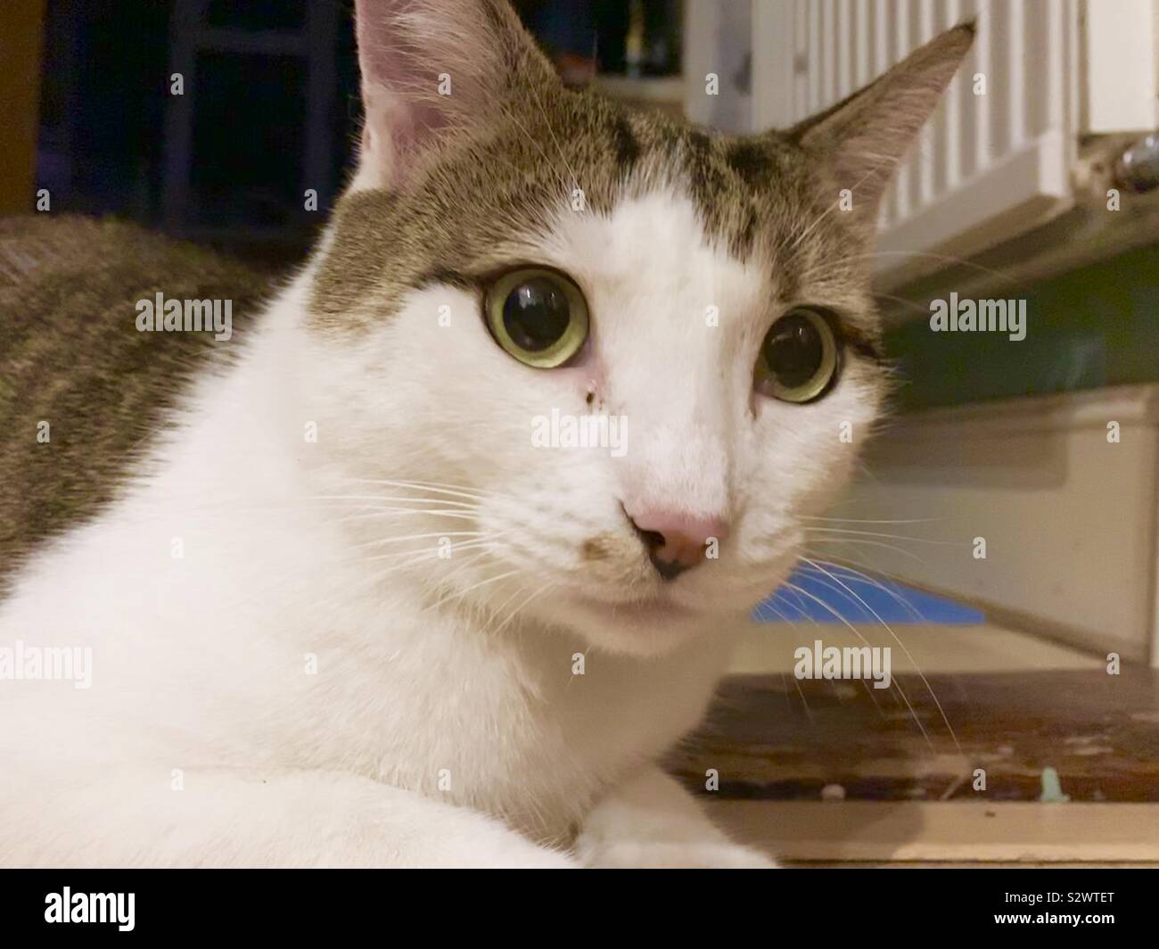 Iphone poster hi-res stock photography and images - Alamy