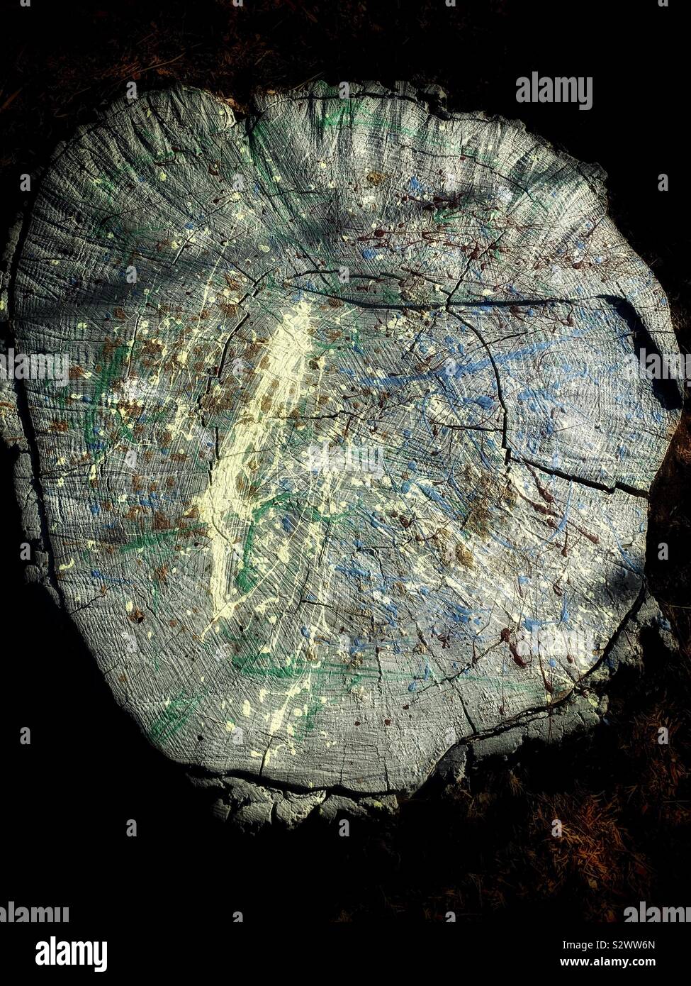 The dry dripping paint-drops on the years of a cut log of the red wood ...