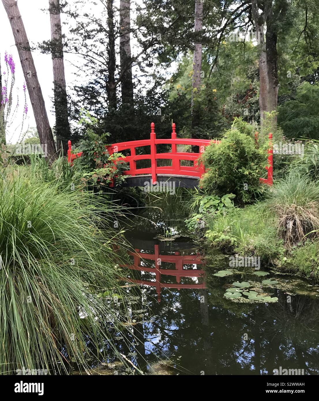 Japaneses hi-res stock photography and images - Alamy