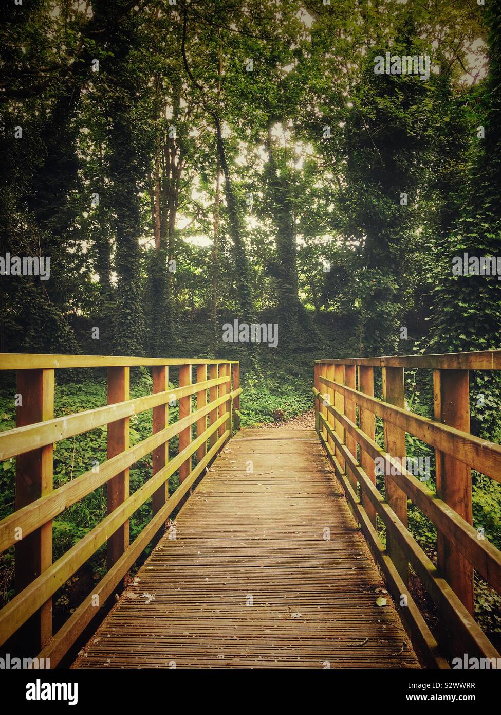 Walk bridge hi-res stock photography and images - Alamy