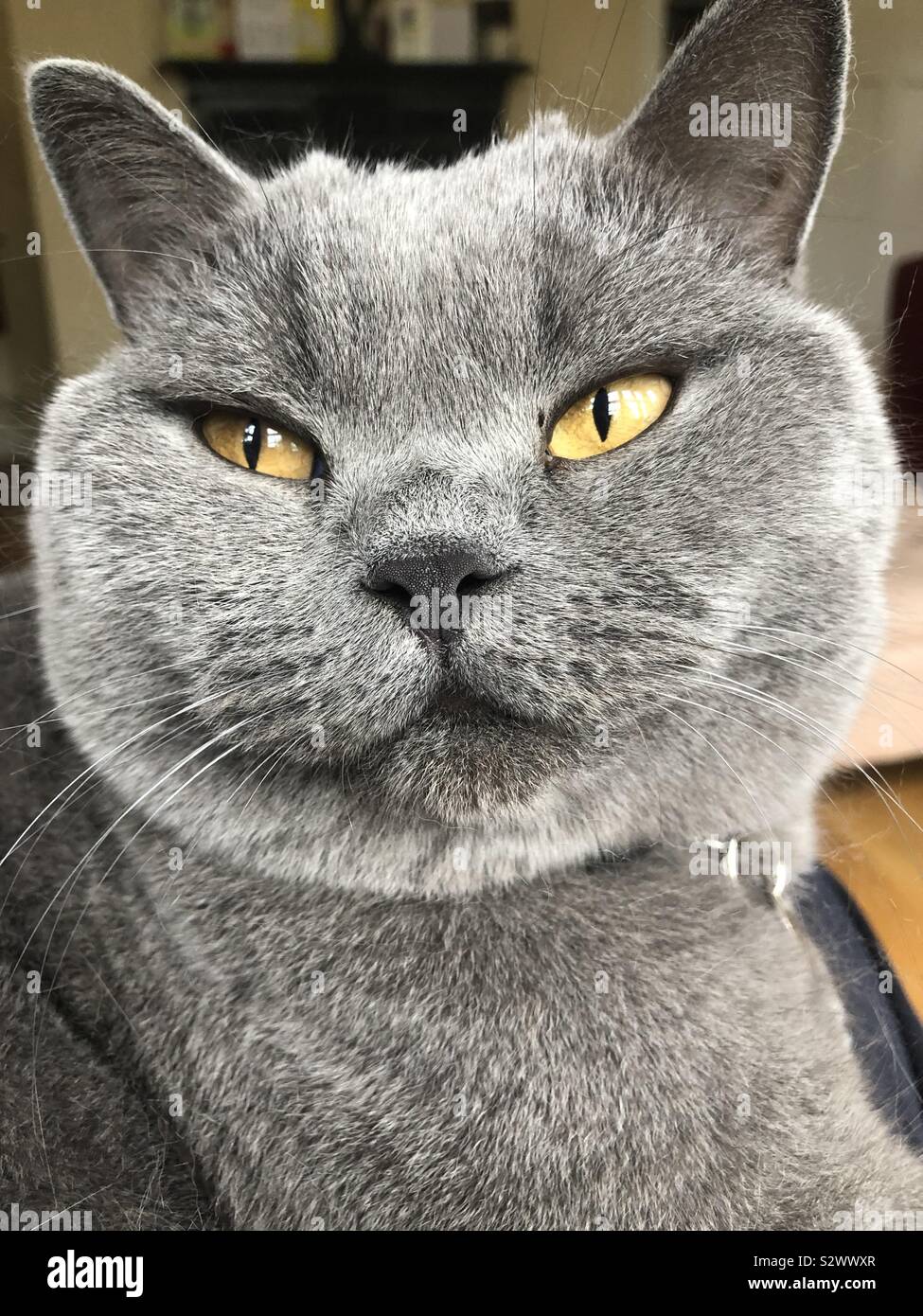 Freind hi-res stock photography and images - Alamy