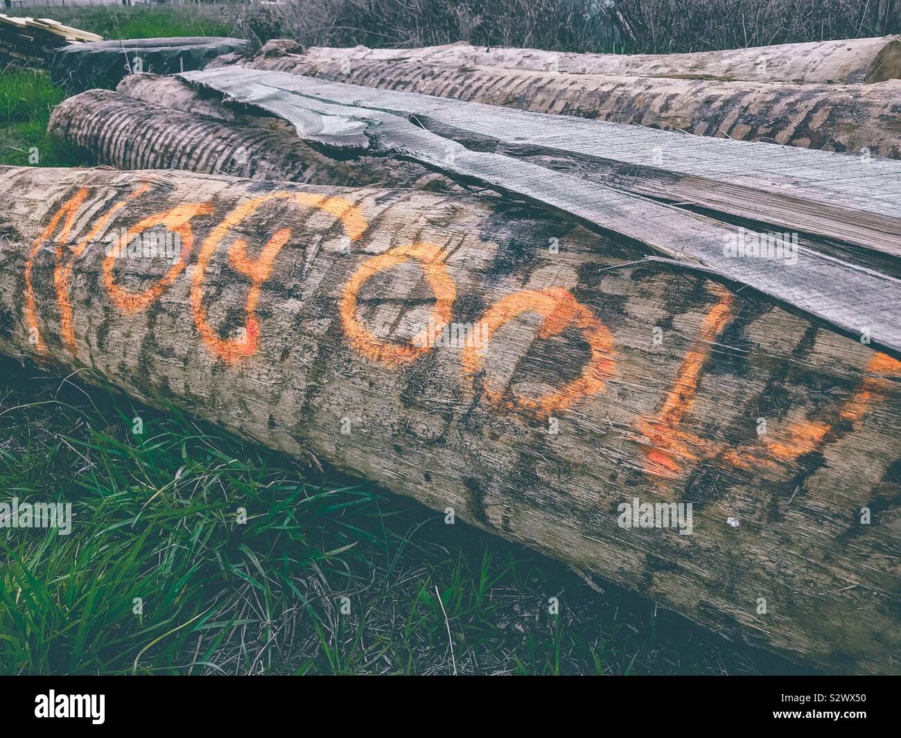 Rejected lumber marked “NO GOOD” Stock Photo - Alamy