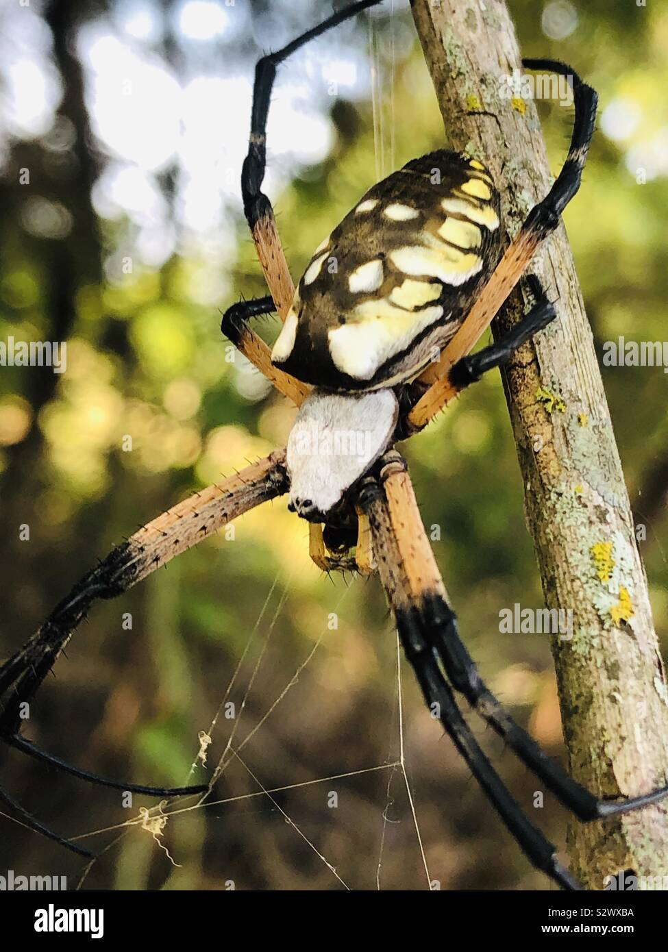 Attack mode hi-res stock photography and images - Alamy