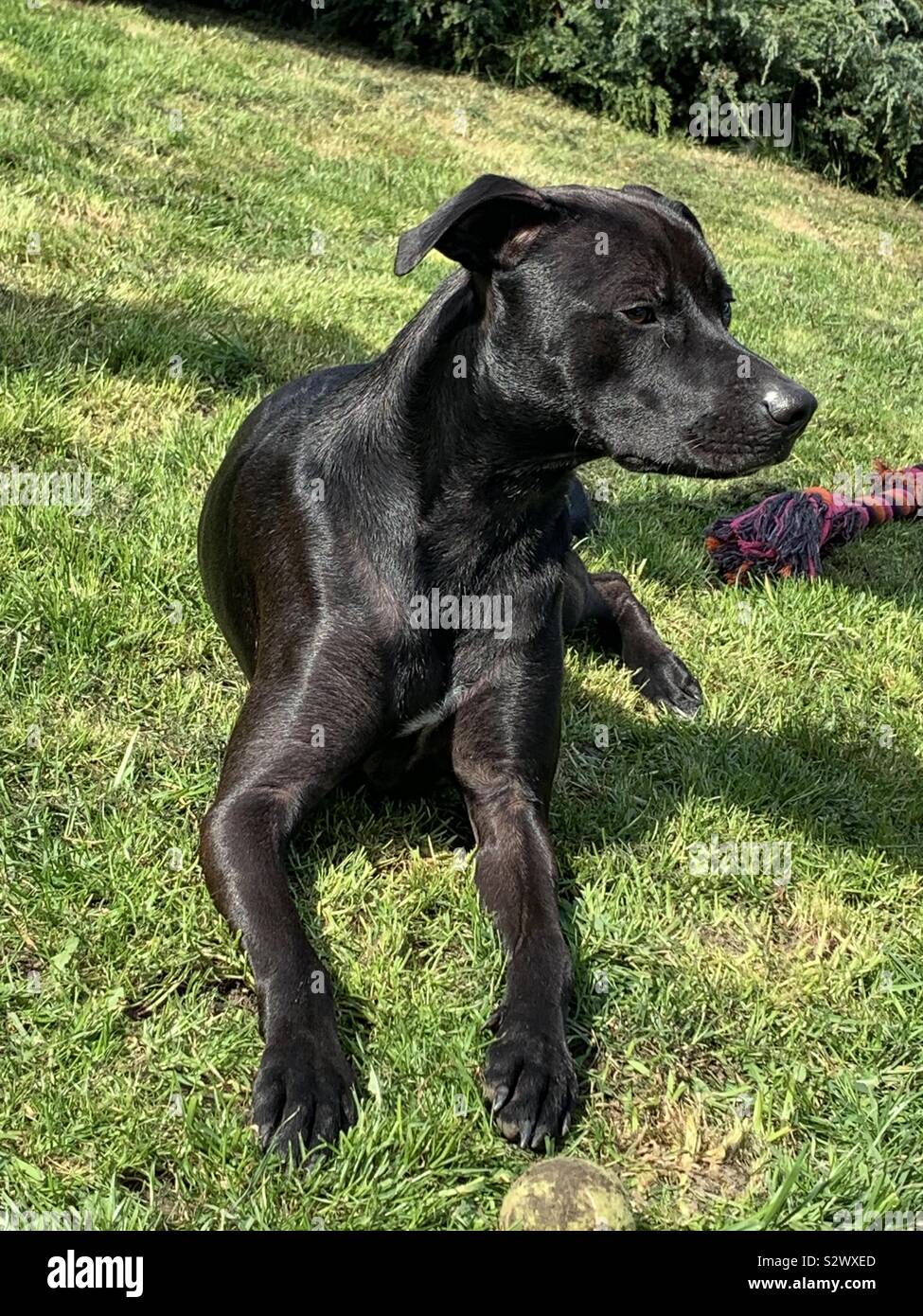 Look of wonder hi-res stock photography and images - Alamy