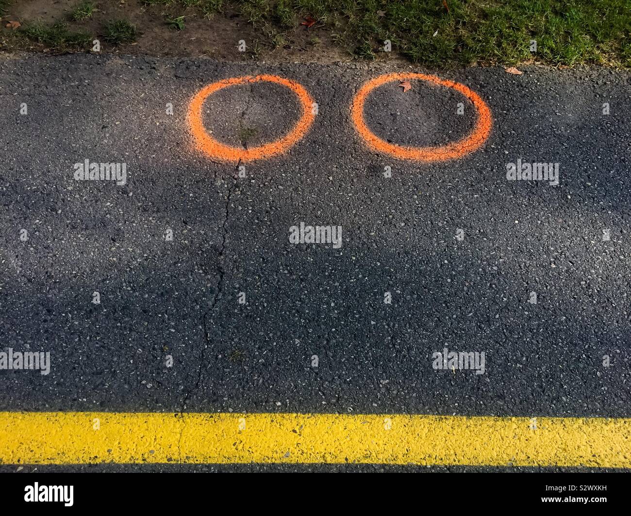 Two round eyes hi-res stock photography and images - Alamy