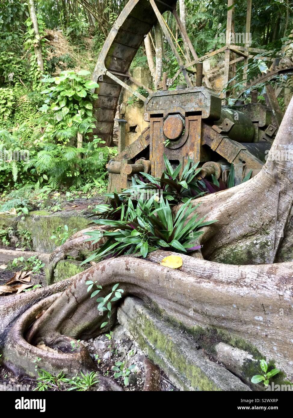 Sugar st lucia hi-res stock photography and images - Alamy