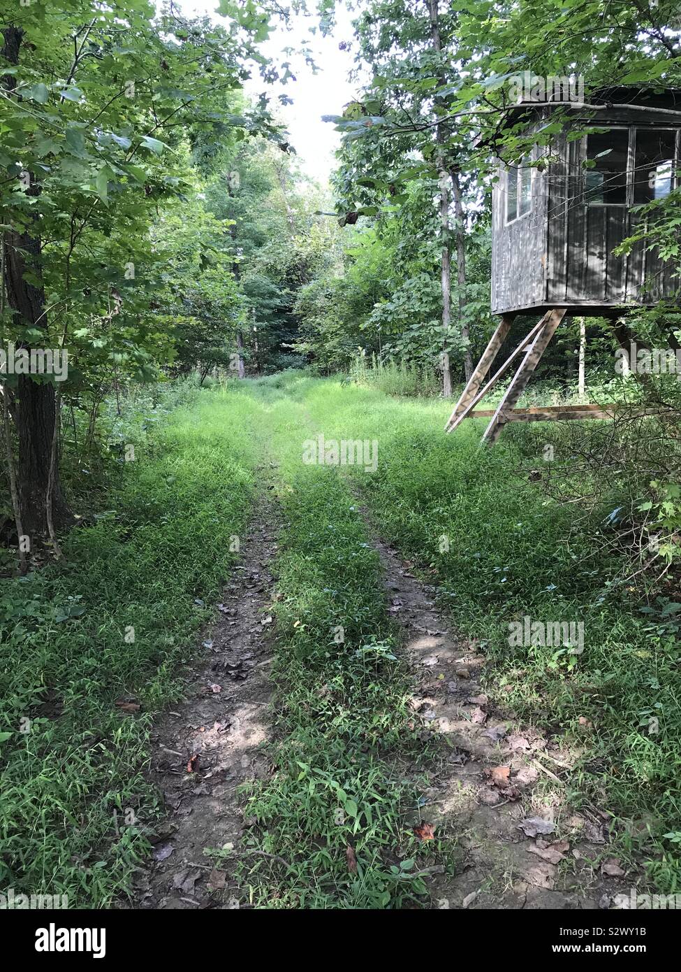 Windows Stand High Resolution Stock Photography and Images - Alamy