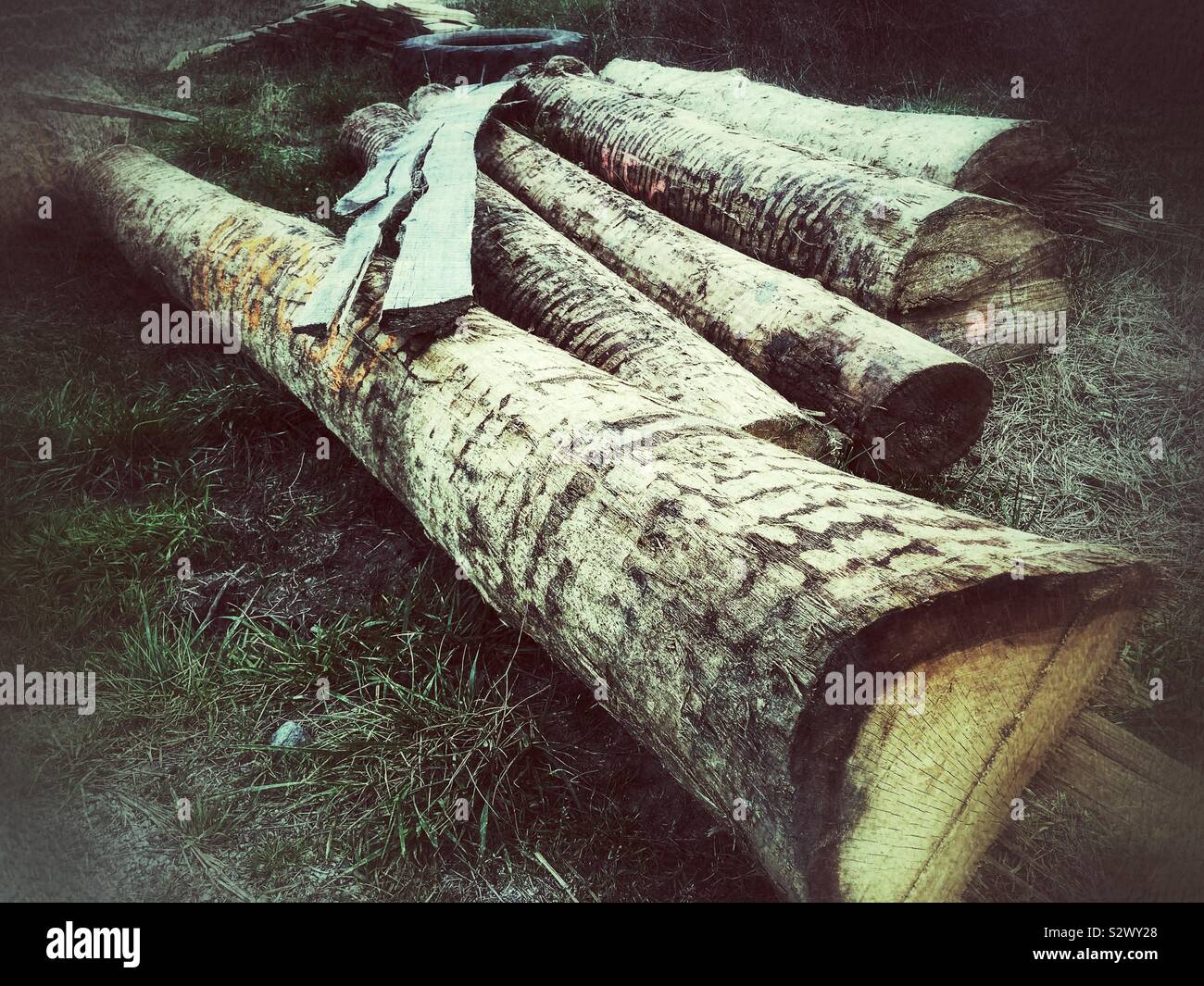 Culled hi-res stock photography and images - Alamy