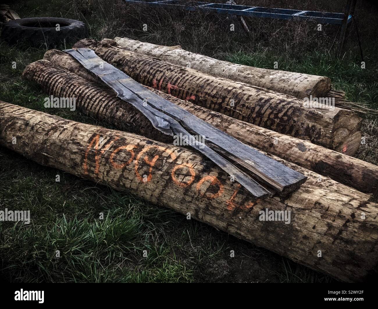 Deep photo of stack of rejected logs from sawmill Stock Photo - Alamy