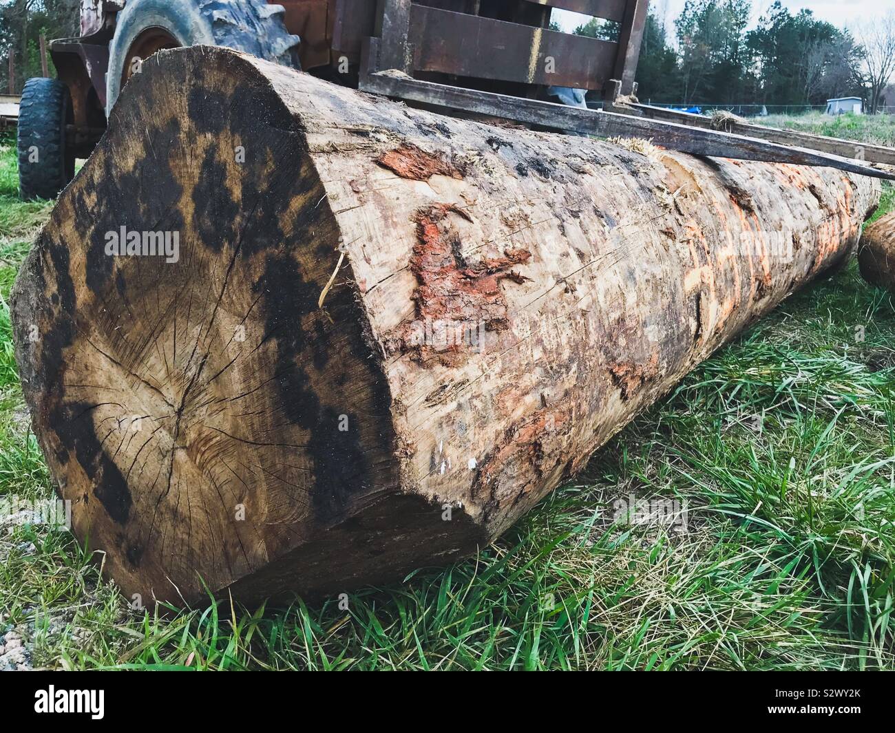 Sawmill timber hi-res stock photography and images - Alamy