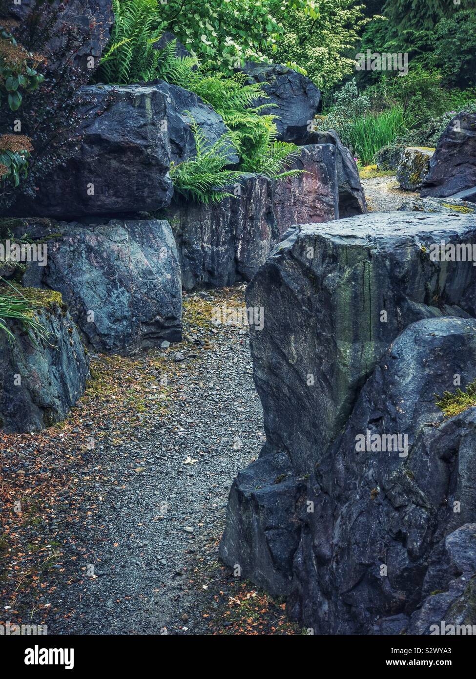 Path through rocks in a rock garden at Threave Gardens, Castle Douglas ...