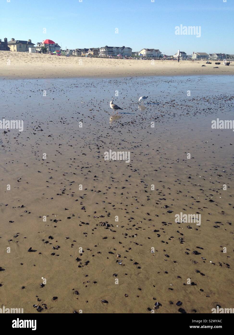 Spring lake new jersey hi-res stock photography and images - Alamy