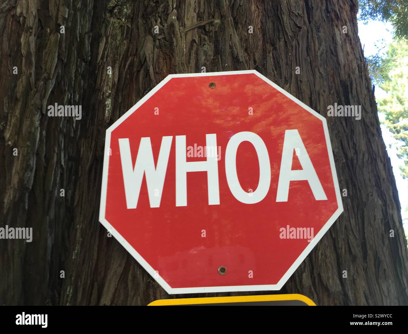 Whoa High Resolution Stock Photography and Images - Alamy