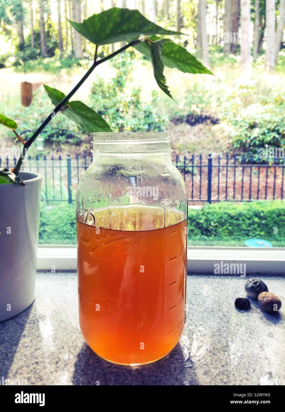 A large jar of tea Stock Photo - Alamy