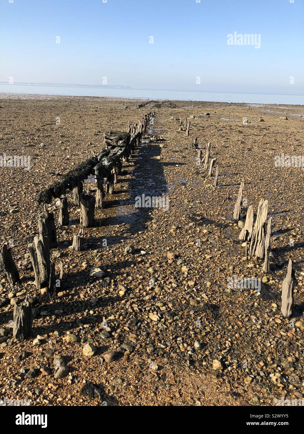 Old piling hi-res stock photography and images - Alamy