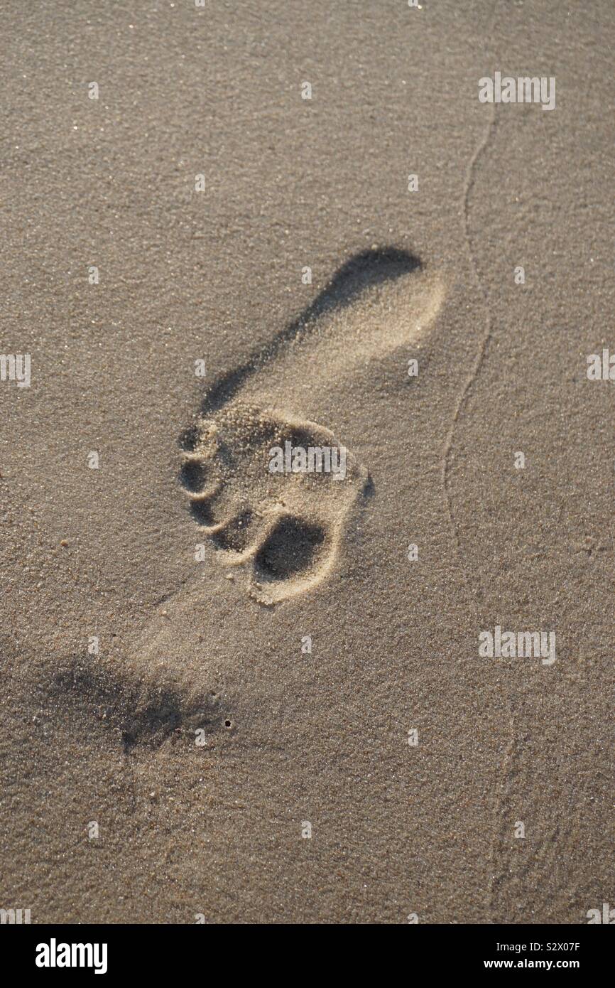 Perfect human footprint on sandy beach Stock Photo - Alamy