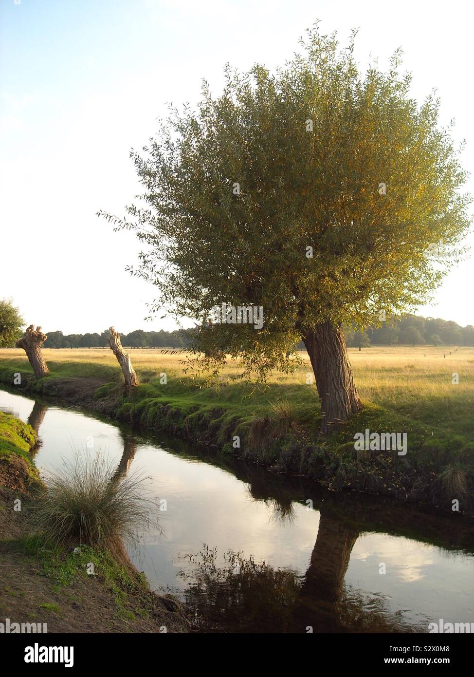 Reflections in the river Stock Photo - Alamy