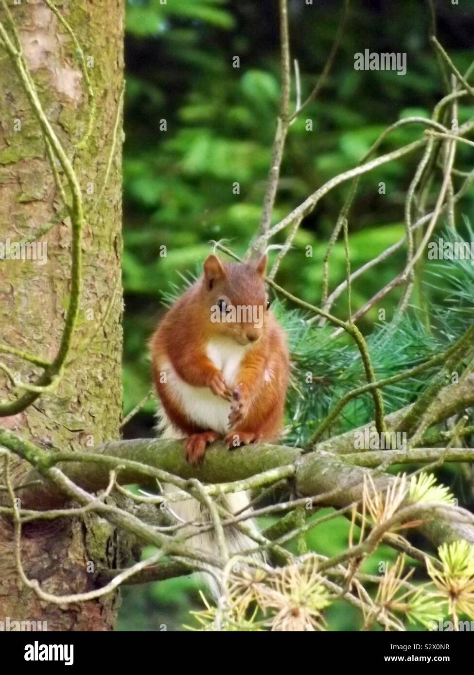 Little asby hi-res stock photography and images - Alamy