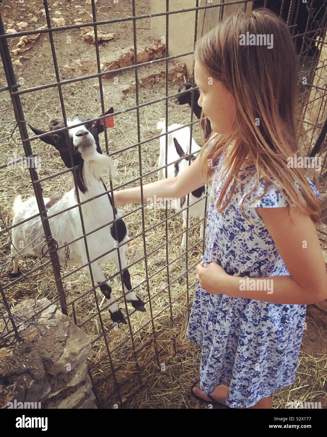 Girl with a goat Stock Photo - Alamy