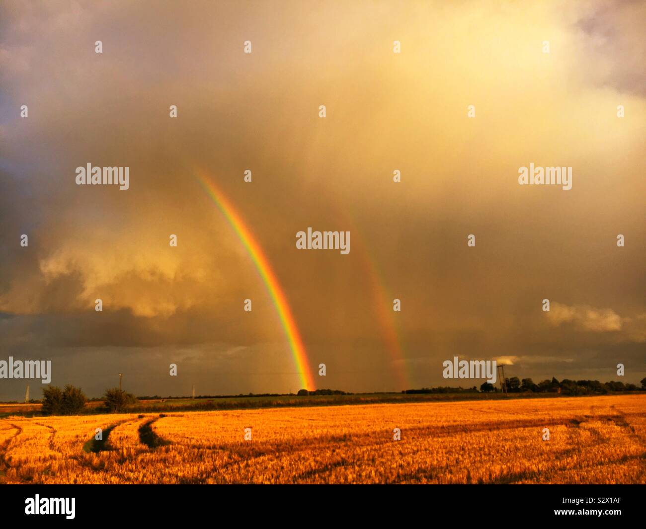 Double fantasy hi-res stock photography and images - Alamy