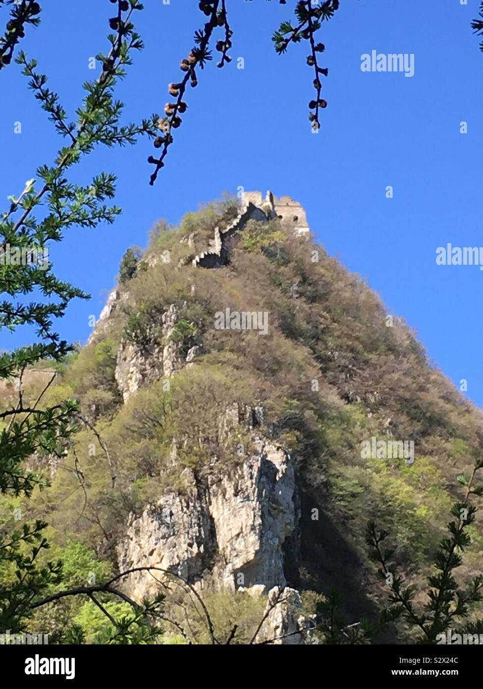 China green great wall trees hi-res stock photography and images - Alamy
