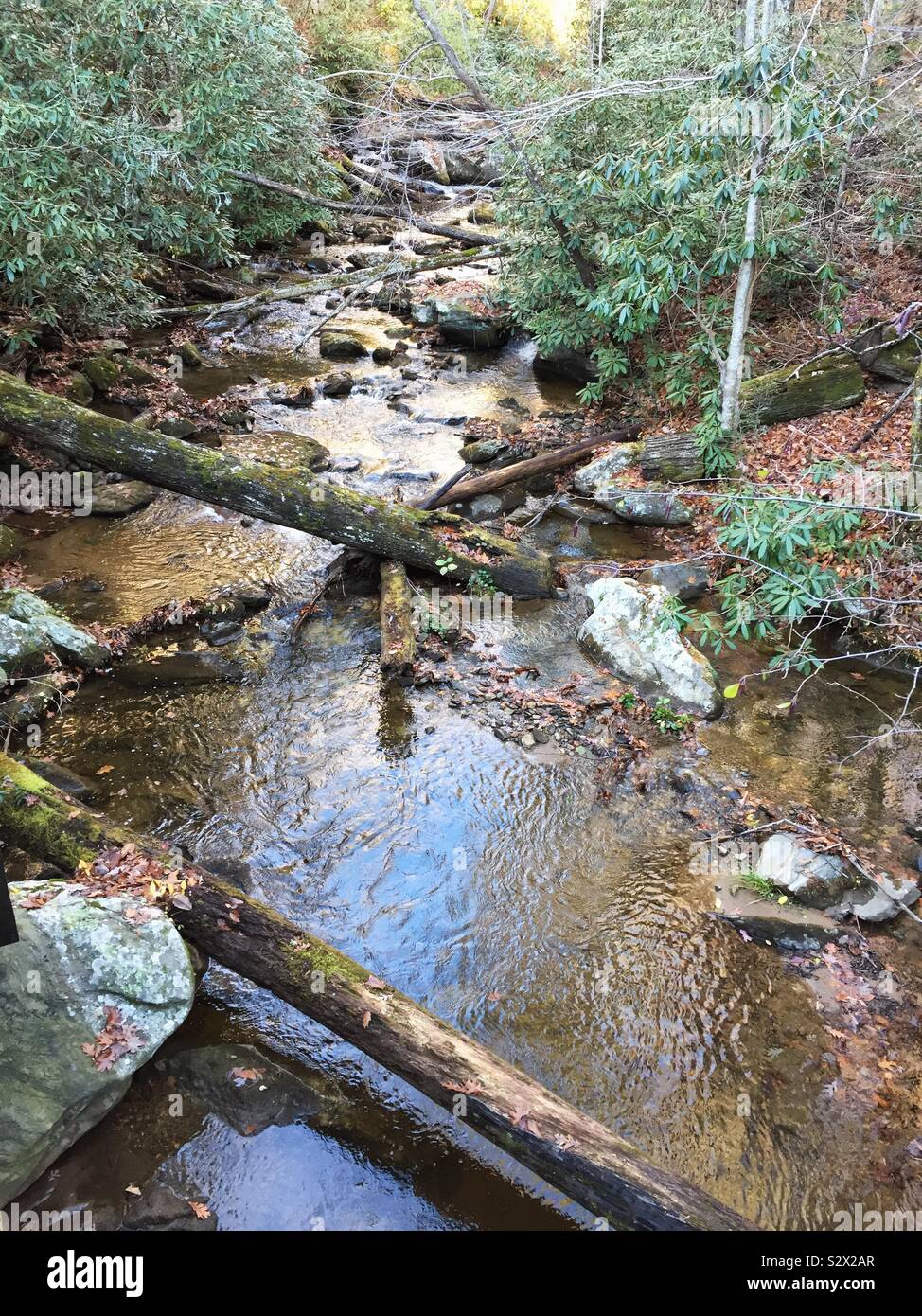 Helen Smith High Resolution Stock Photography and Images - Alamy