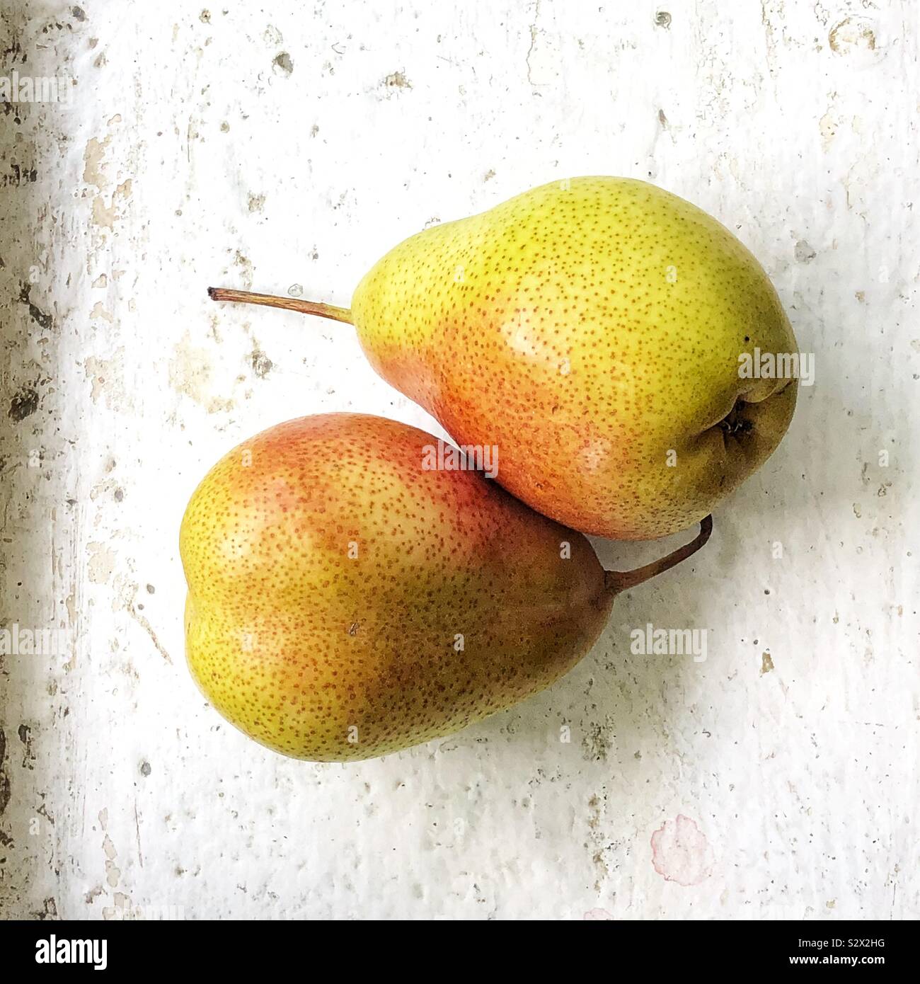 Painted pears hi-res stock photography and images - Alamy