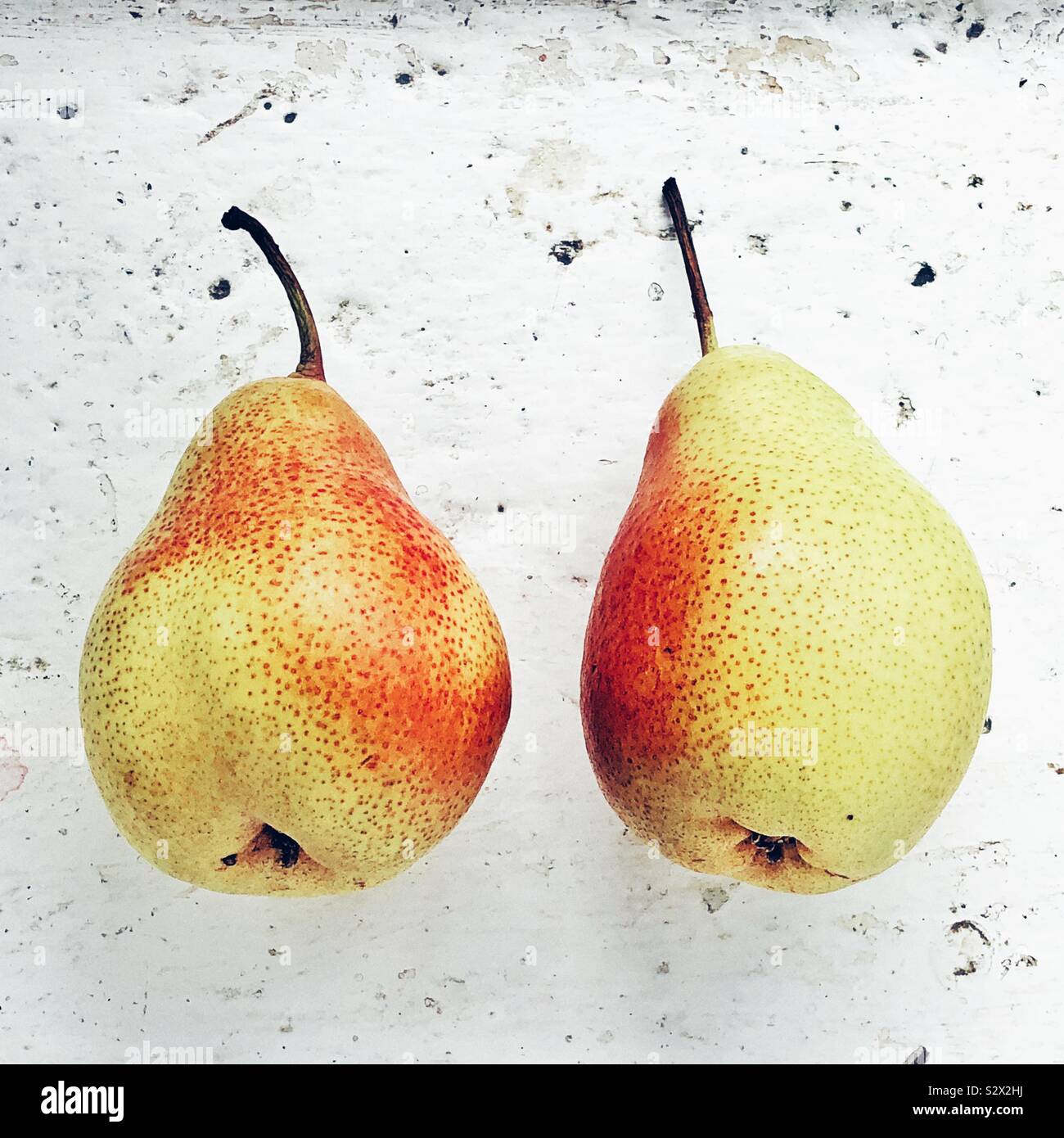 Painted pears hi-res stock photography and images - Alamy