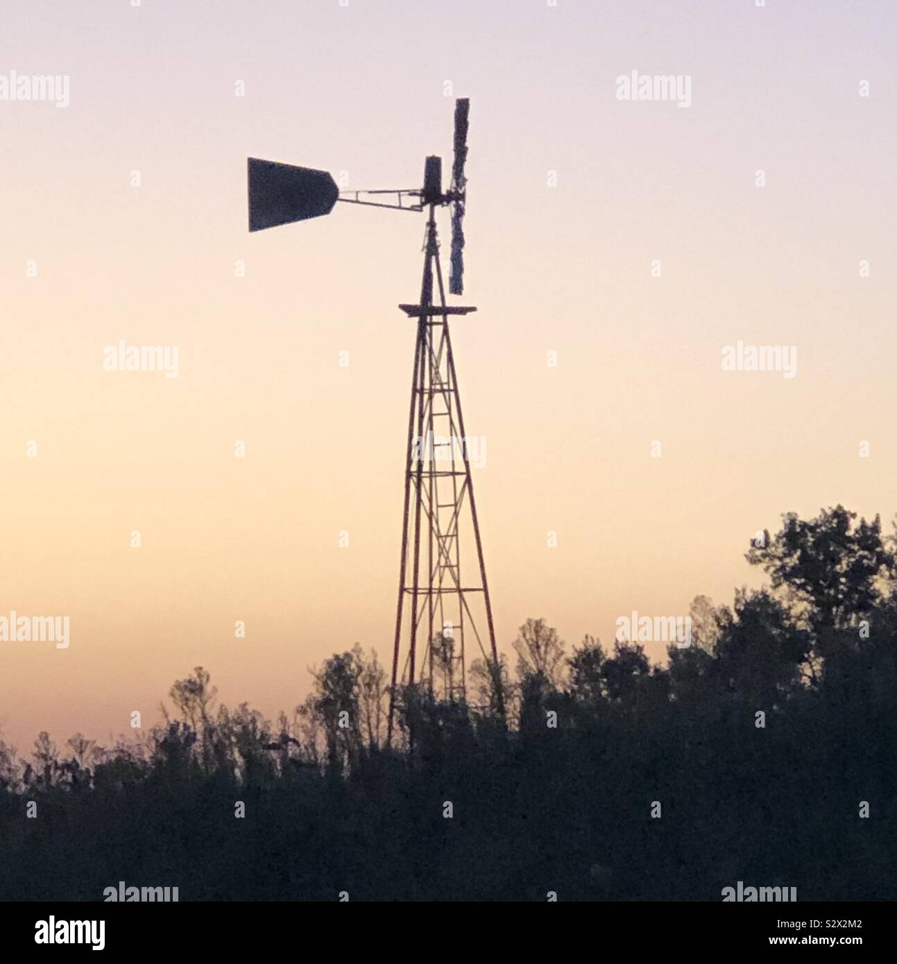 Showing wind direction on the open plains Stock Photo - Alamy