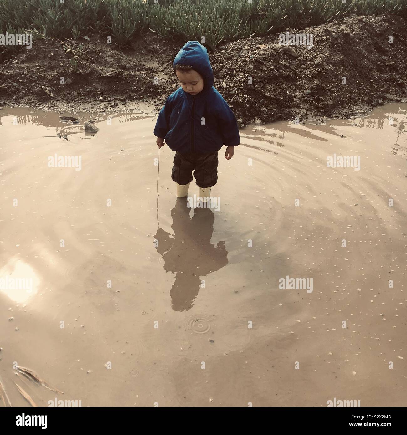 Kid standing in puddle of water Stock Photo - Alamy