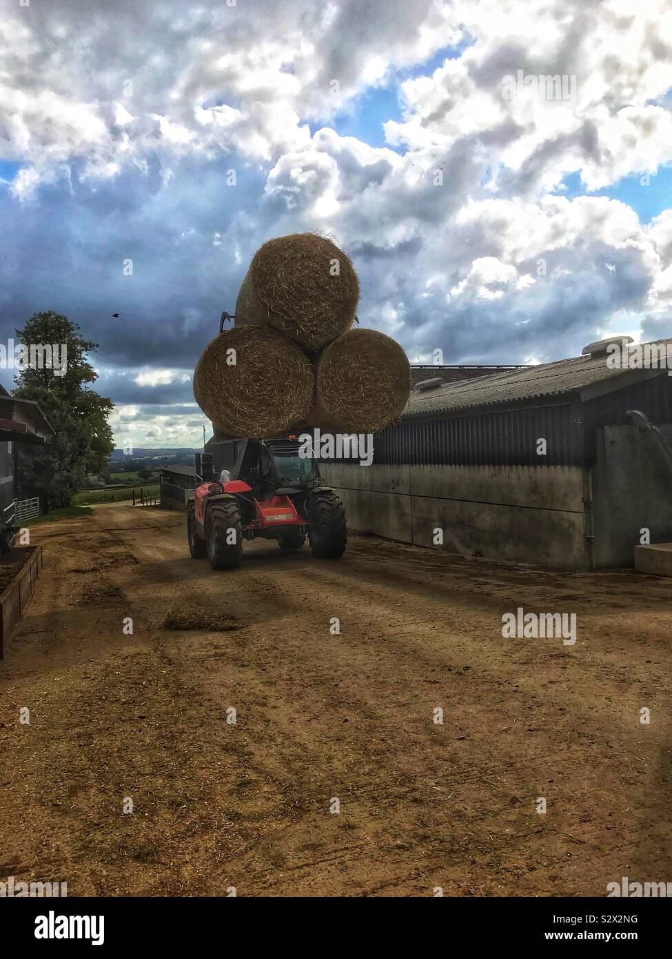 Tractor carrying straw bales Stock Photo - Alamy