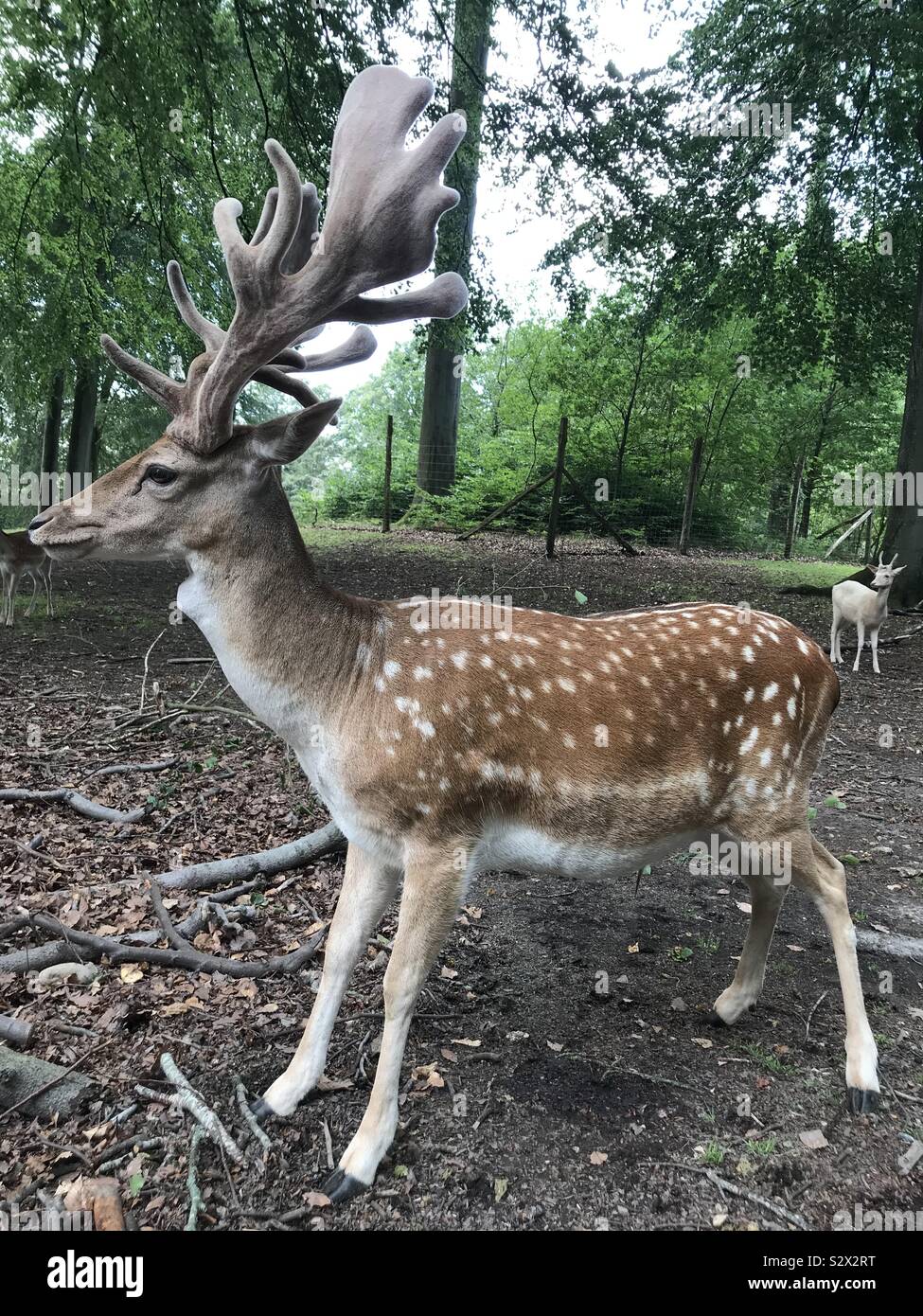 Vejle Denmark High Resolution Stock Photography and Images - Alamy
