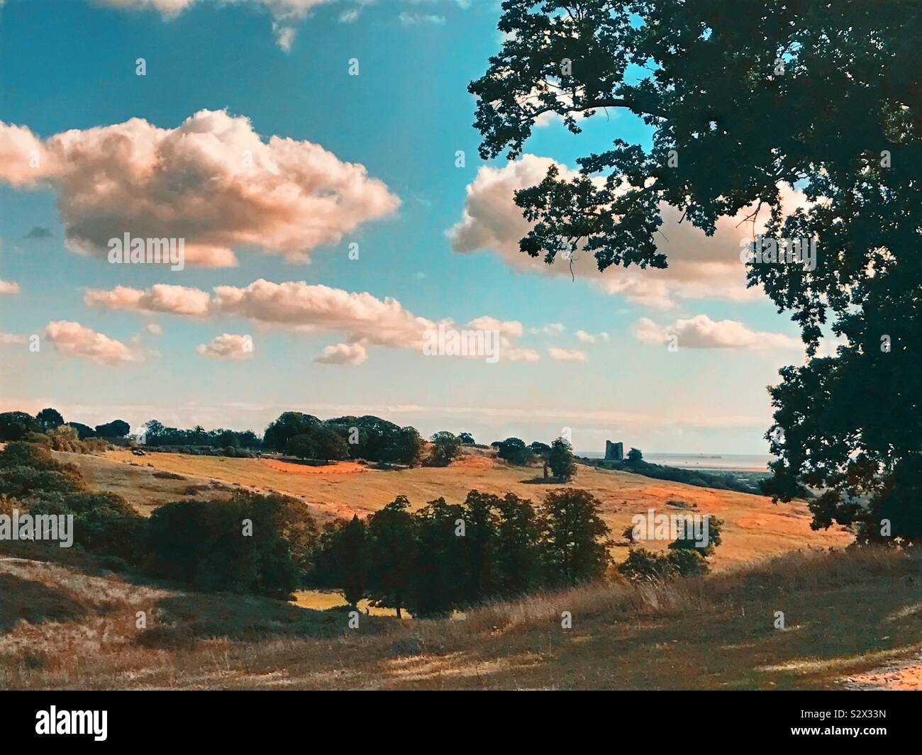 Hadleigh country park hi-res stock photography and images - Alamy