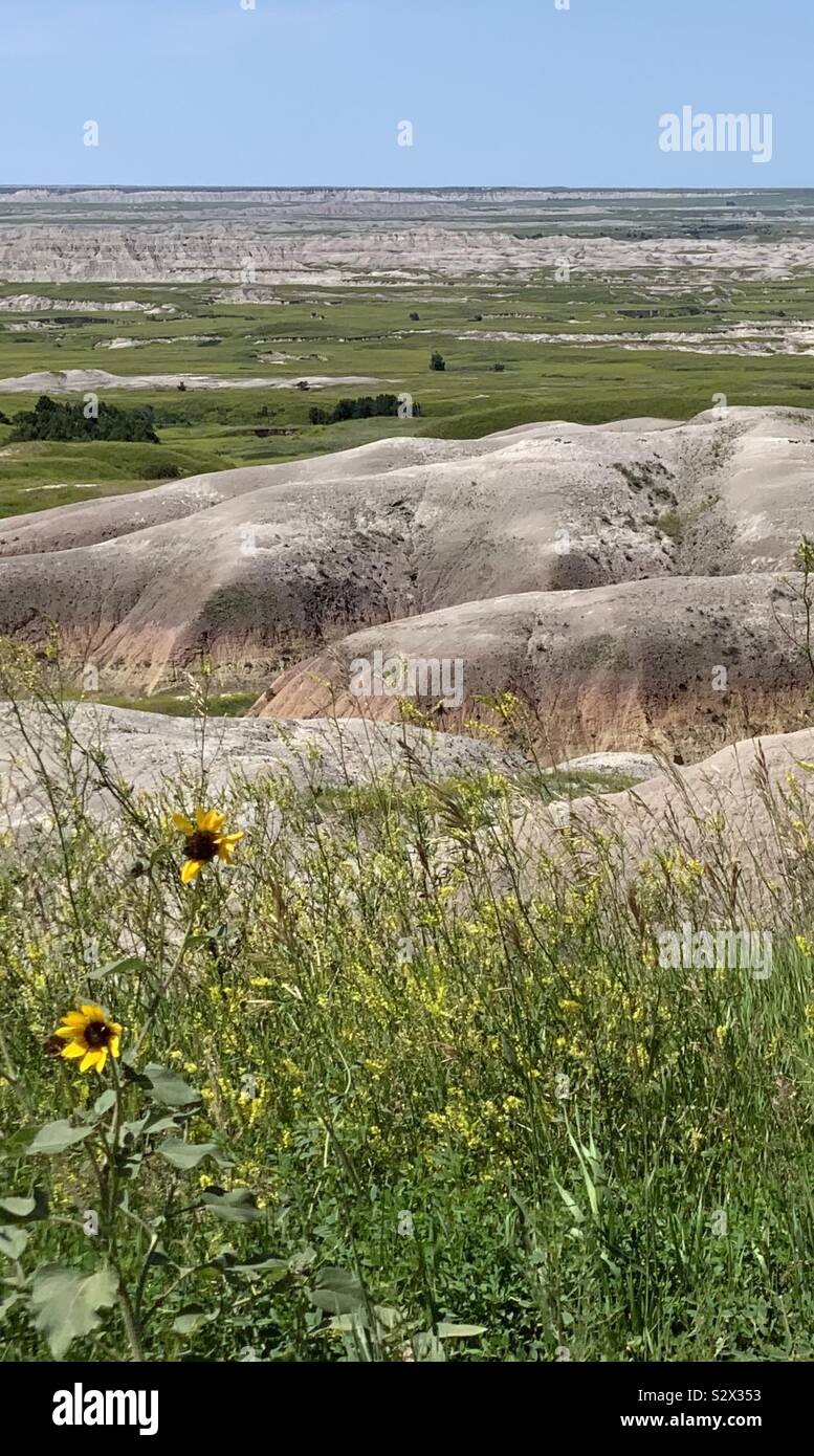 Open spaces hi-res stock photography and images - Alamy