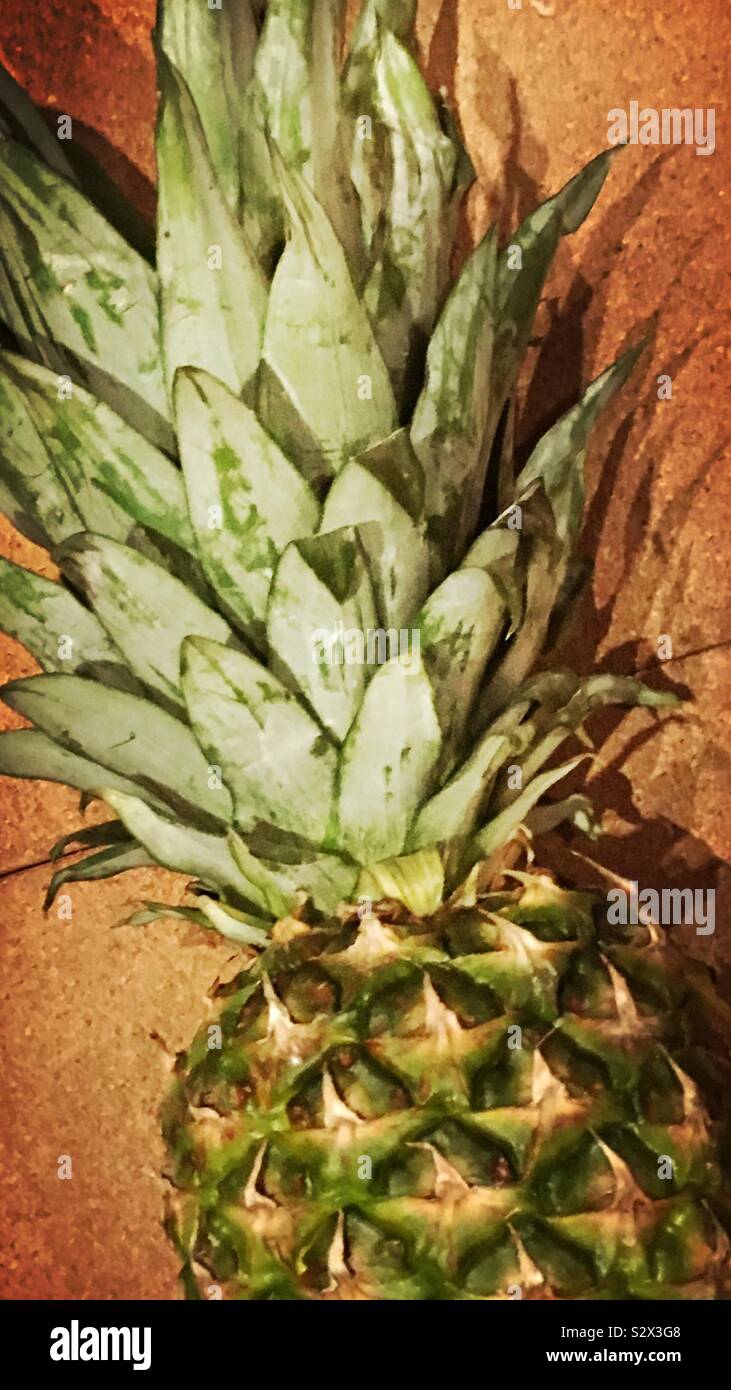 Pineapples and leaves hi-res stock photography and images - Alamy