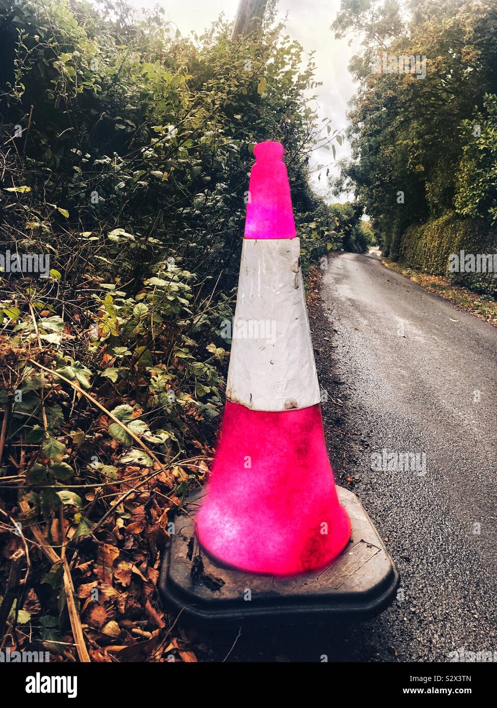 Pink Traffic Cone Stock Photo - Alamy
