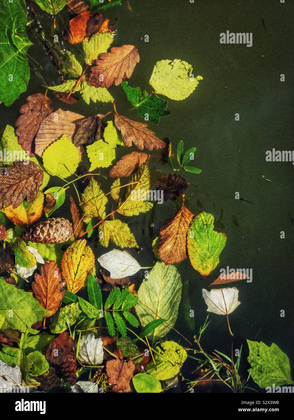Dark And Murky Water High Resolution Stock Photography and Images - Alamy