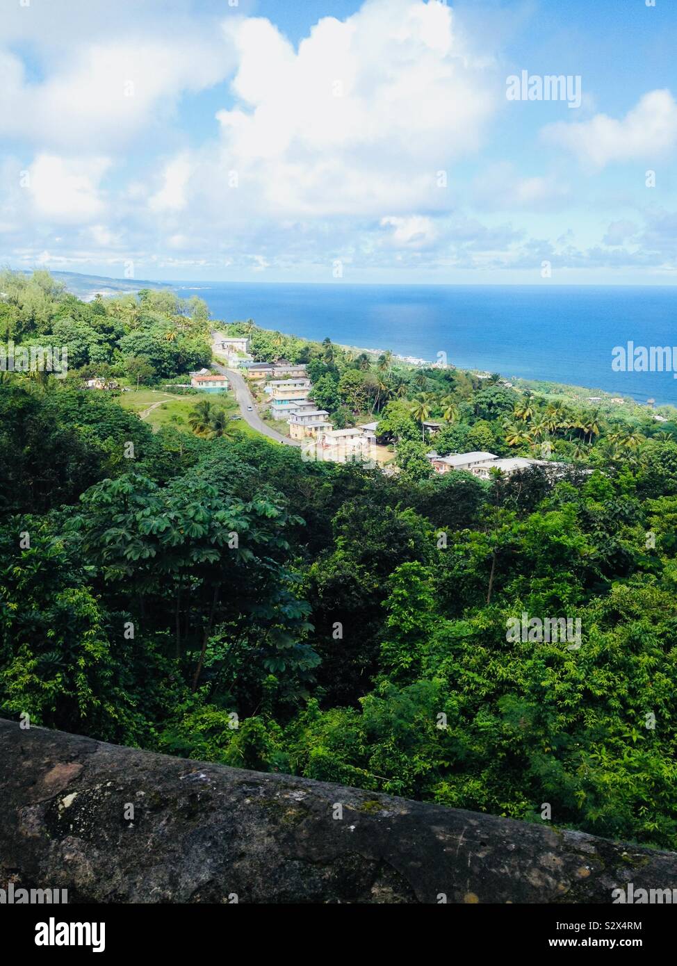 Caribbean Green, Hillside view on to the beach Stock Photo - Alamy