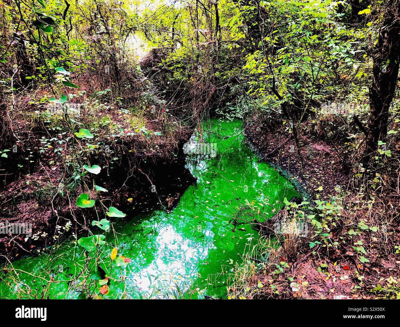 Kryptonite hi-res stock photography and images - Alamy