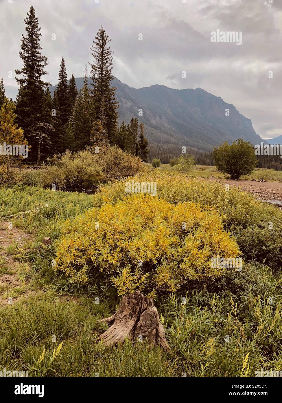 Gallatin national forest hi-res stock photography and images - Alamy