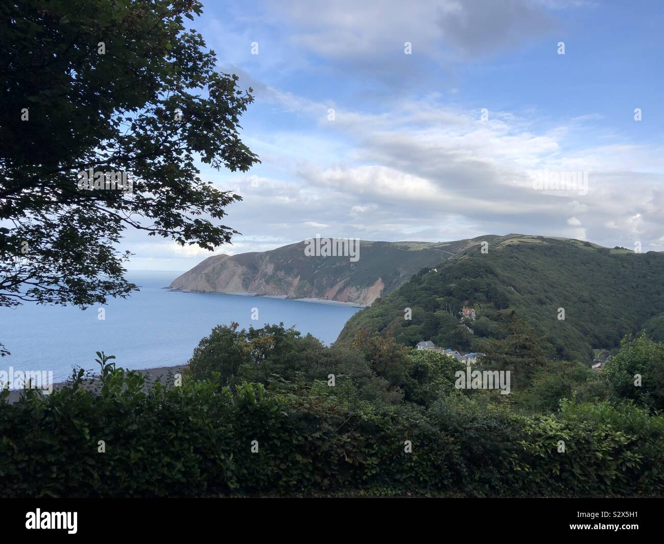 Nice trees view hi-res stock photography and images - Alamy