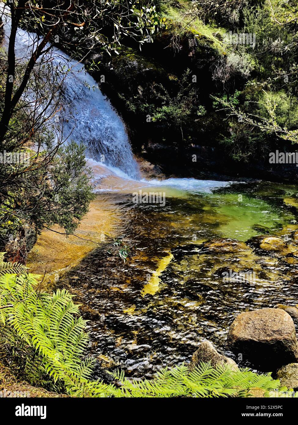 Lady lake hi-res stock photography and images - Alamy